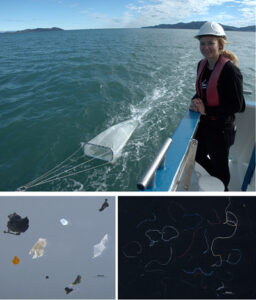 The Effects of Microplastics in the Great Barrier Reef | PerkinElmer Blog
